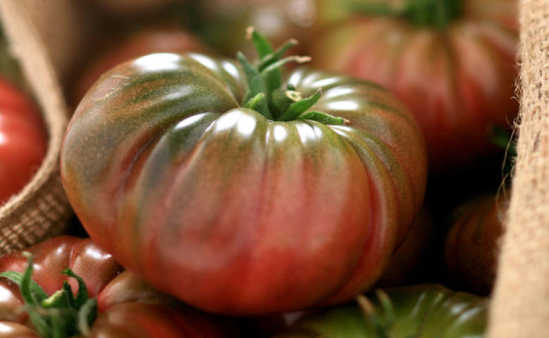 La tomate de Provence MyProvence