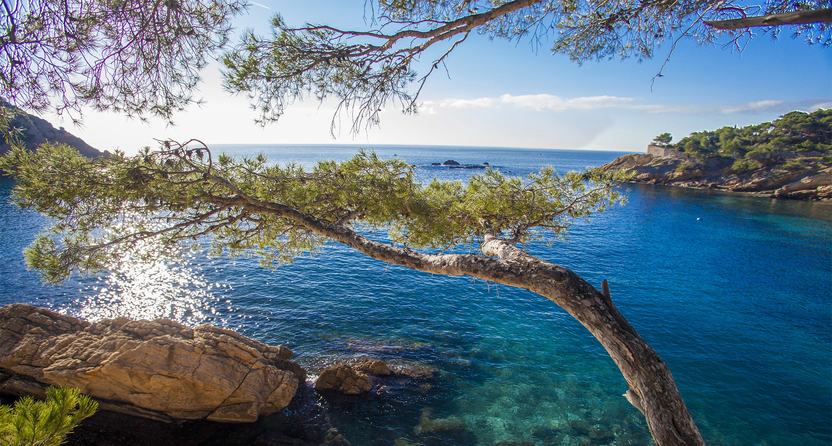 Les 5 plus belles balades en Provence à faire au printemps MyProvence