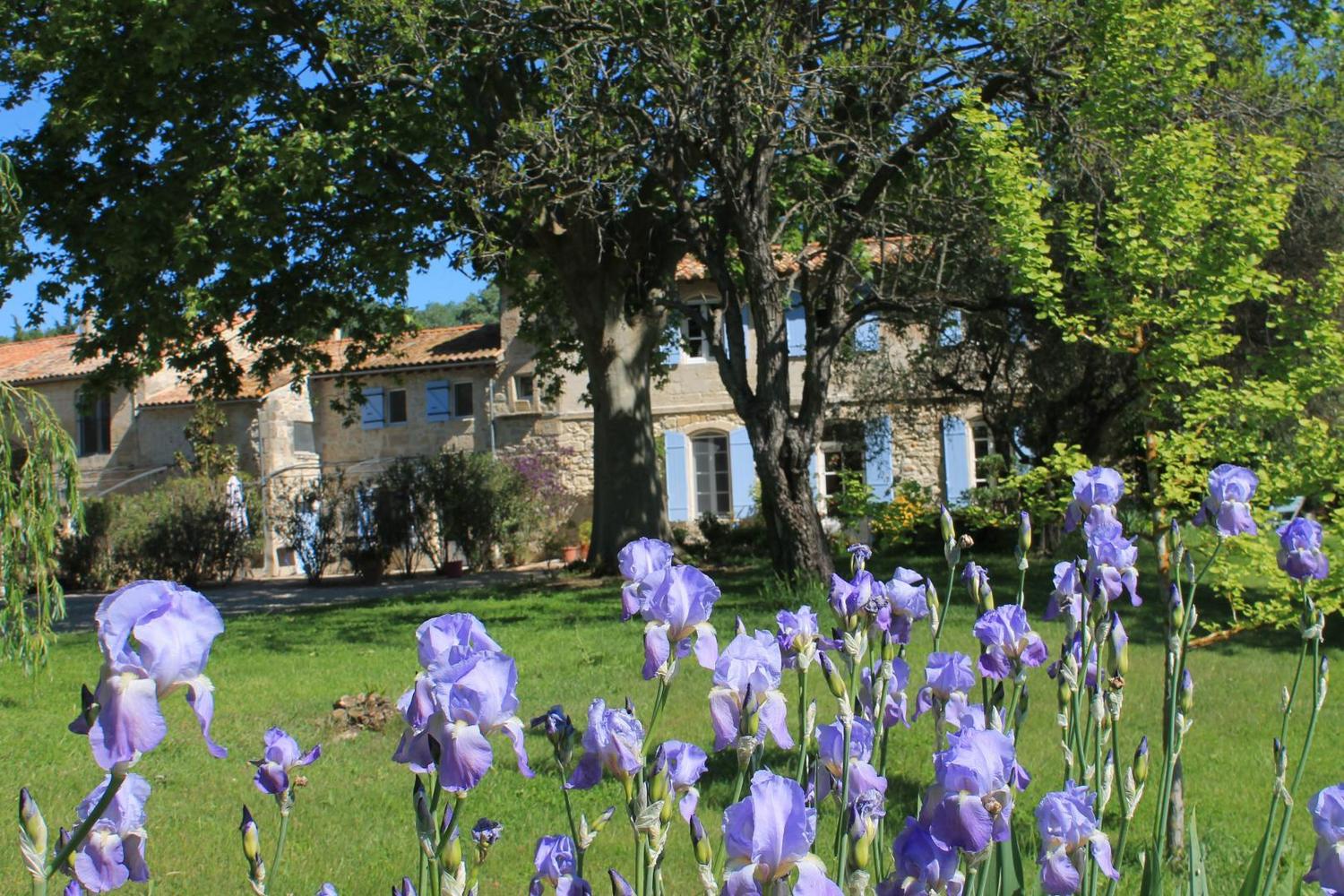 La Treille MyProvence